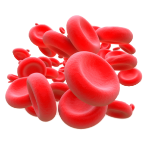 Plasma Rich in Growth Factor | High Point NC | High Point Periodontics